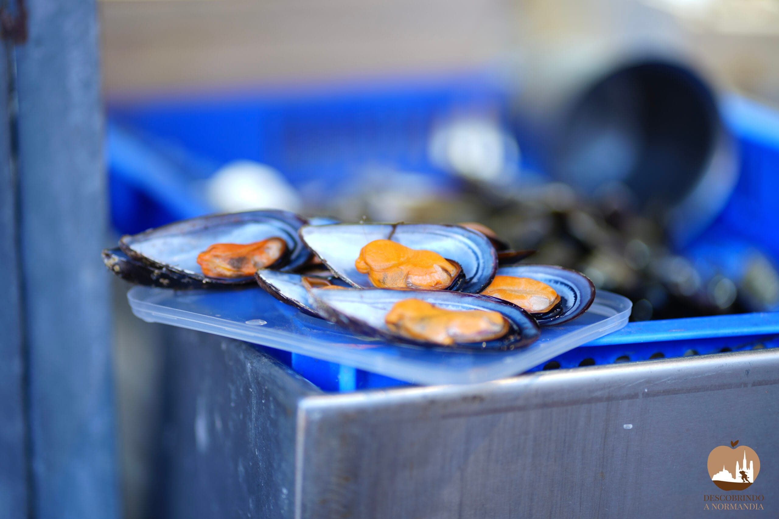 Gastronomy and Traditional Dishes in Normandy: An Inoubliable Culinary ...